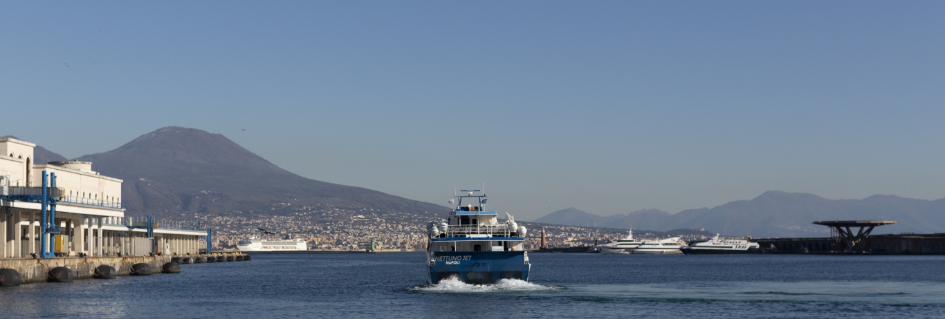 Our Services - alilauro