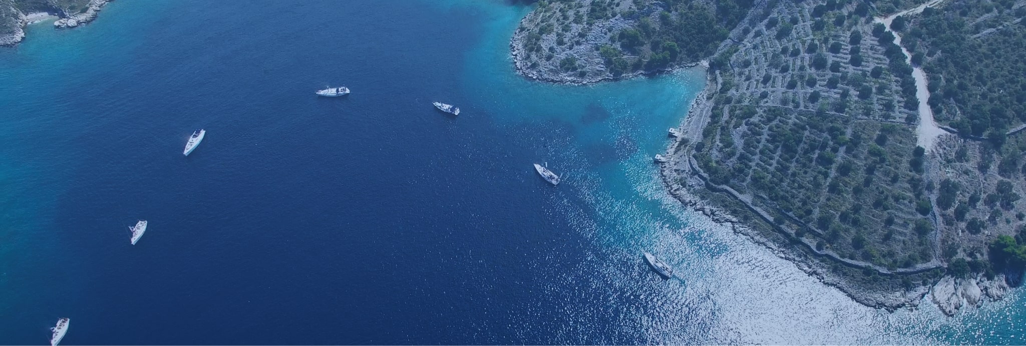 Our Fleet - alilauro